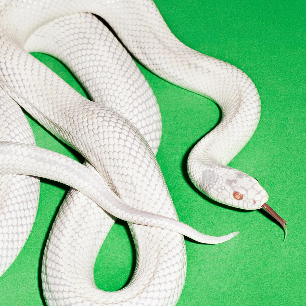 DEFTONES 'PRIVATE MUSIC' LP (Clear Vinyl)